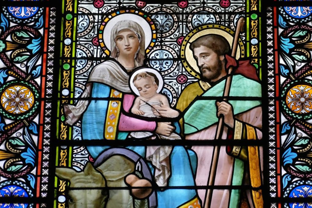 6 Best Catholic Bibles for Beginners in 2024 | Easy to Read & Understand